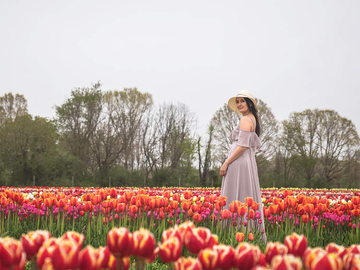 Day Trip Idea: Visit A U-Pick Tulip Farm In NYC! (Updated 2025 ...