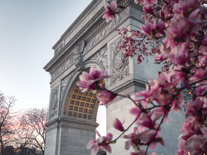 A Local Photographer's Guide To Finding Cherry Blossoms in NYC ...