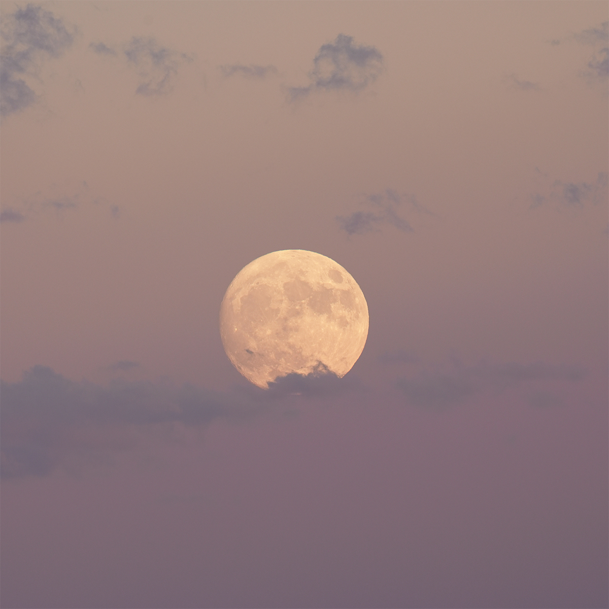 How To Photograph A Supermoon With The NYC Skyline (Updated 2025 ...