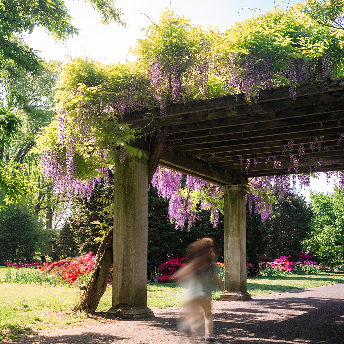 A Photographer’s Guide to Motion Blur Using Slow Shutter Effect ...