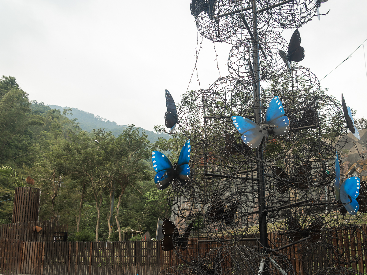 Journey to Taiwan’s Purple Crow Butterfly Migration in Maolin ...