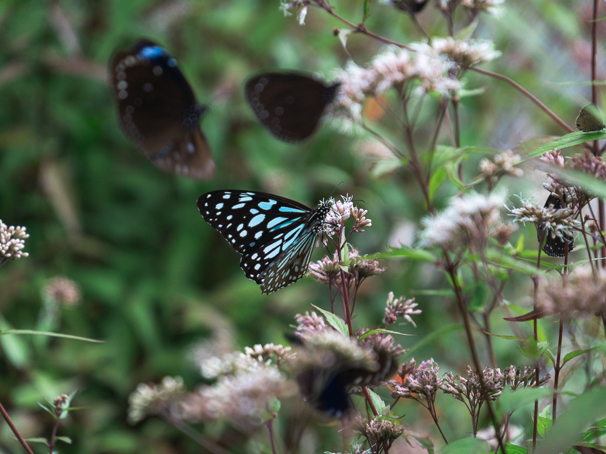 A Packed Guide to Kaohsiung Taiwan Tourist Spots in 3 Days ...